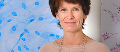 Les cellules progénitrices au secours des grands brûlés - Allez savoir!