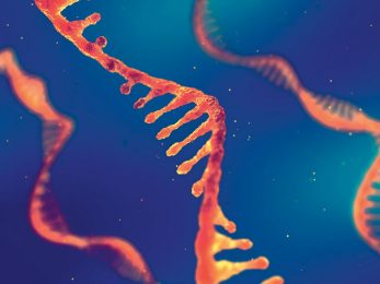 L’ARN, nouvelle star de la médecine – Allez savoir!