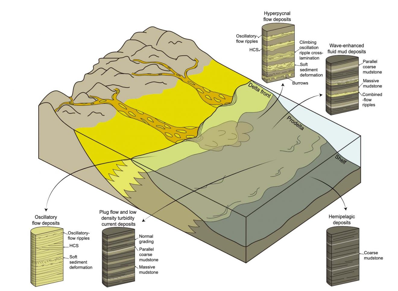The paleoenvironment of Chengjang Biota: a sedimentological study leads ...