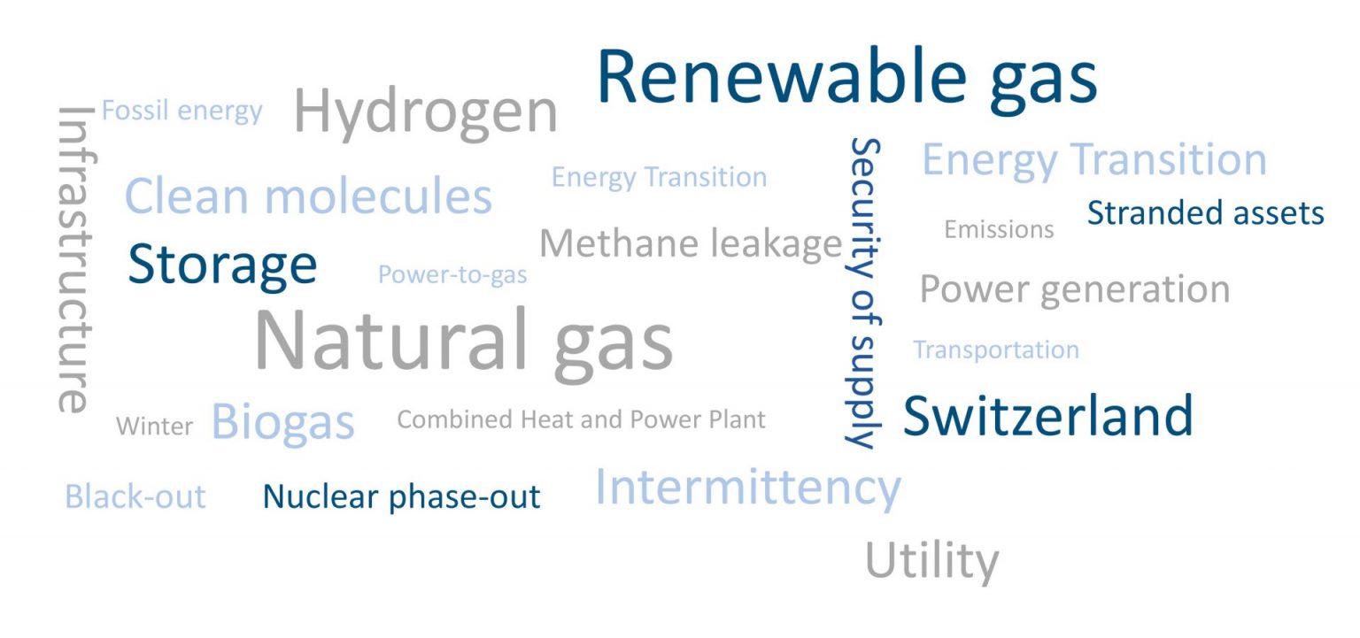 Le rôle du gaz naturel et de ses infrastructures dans la transition ...