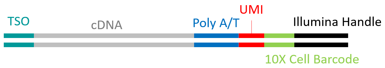 Applications – Lausanne Genomic Technologies Facility