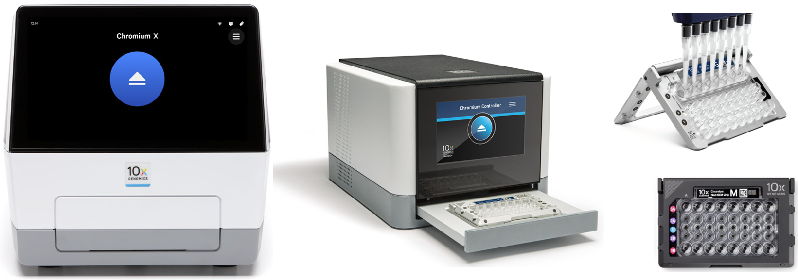 Single cell (10X) - Lausanne Genomic Technologies Facility