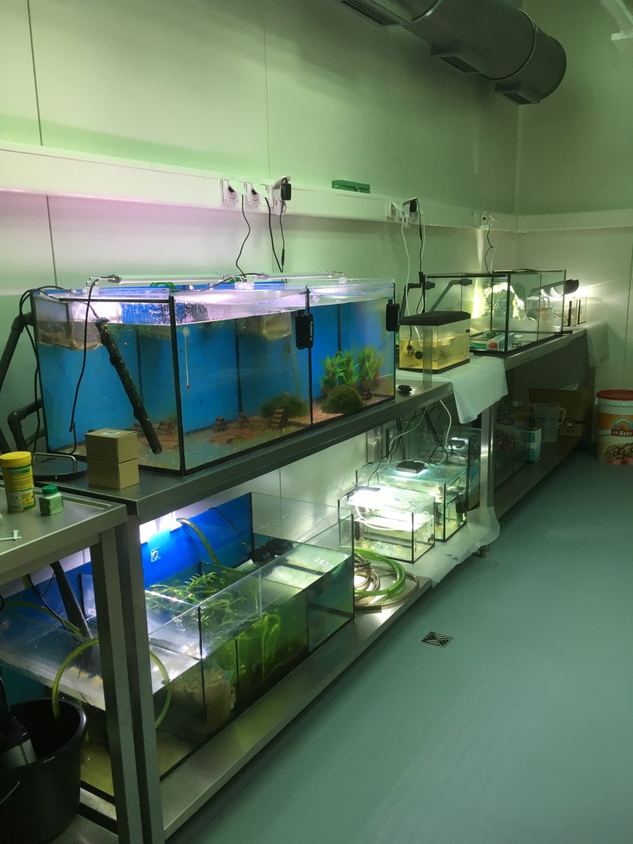 Lab Facilities - ANOM Lab
