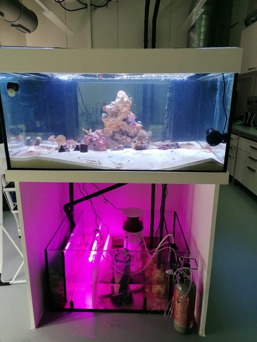 Lab Facilities - ANOM Lab