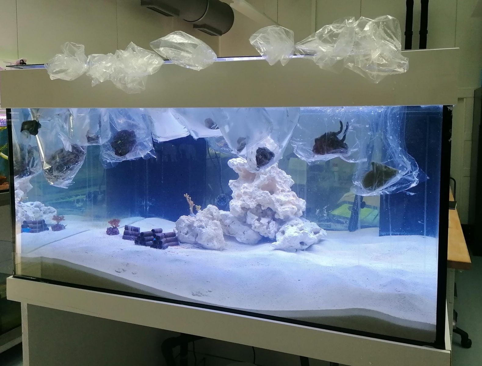 Lab Facilities - ANOM Lab