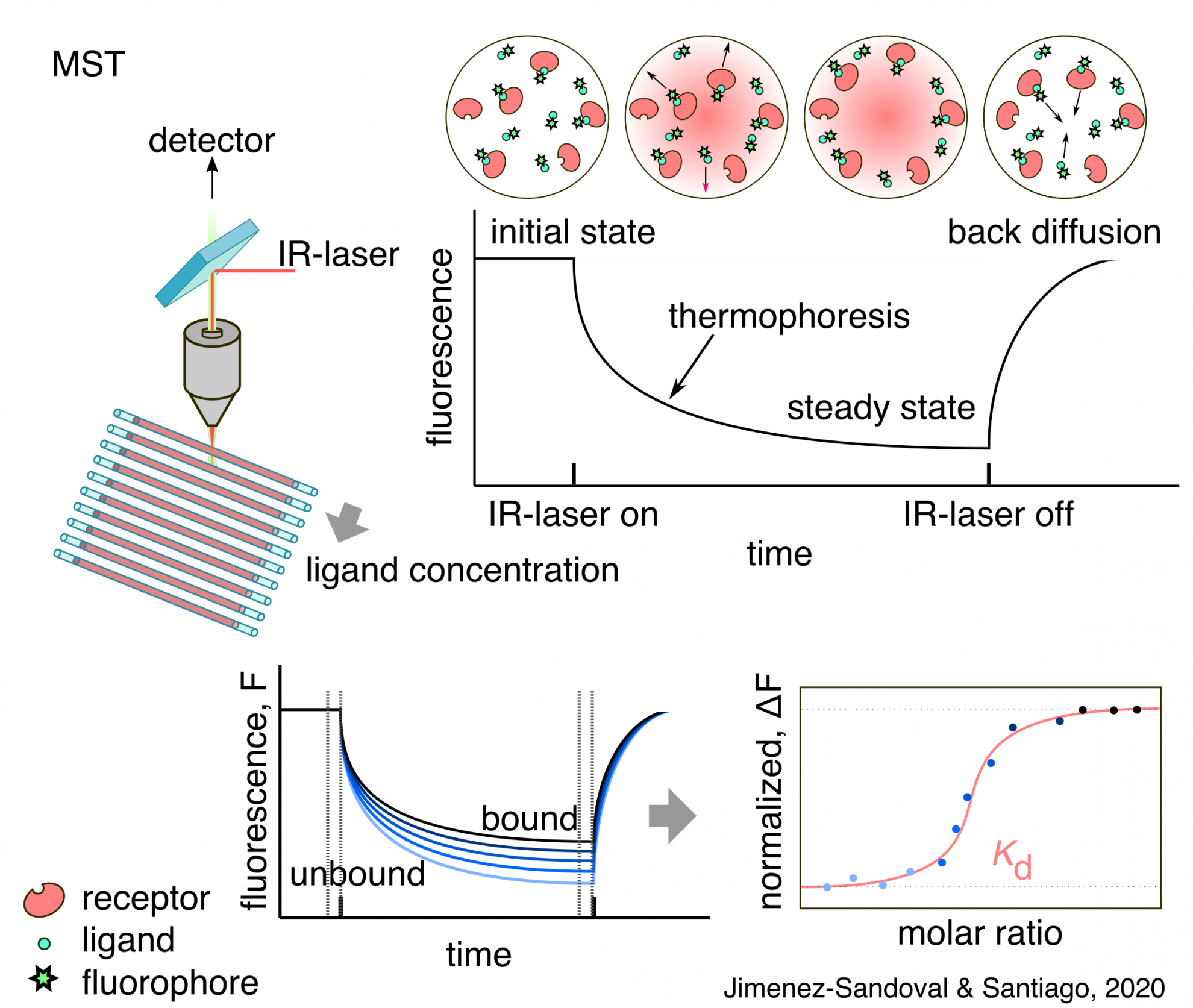 RESOURCES - The plant signaling mechanisms lab