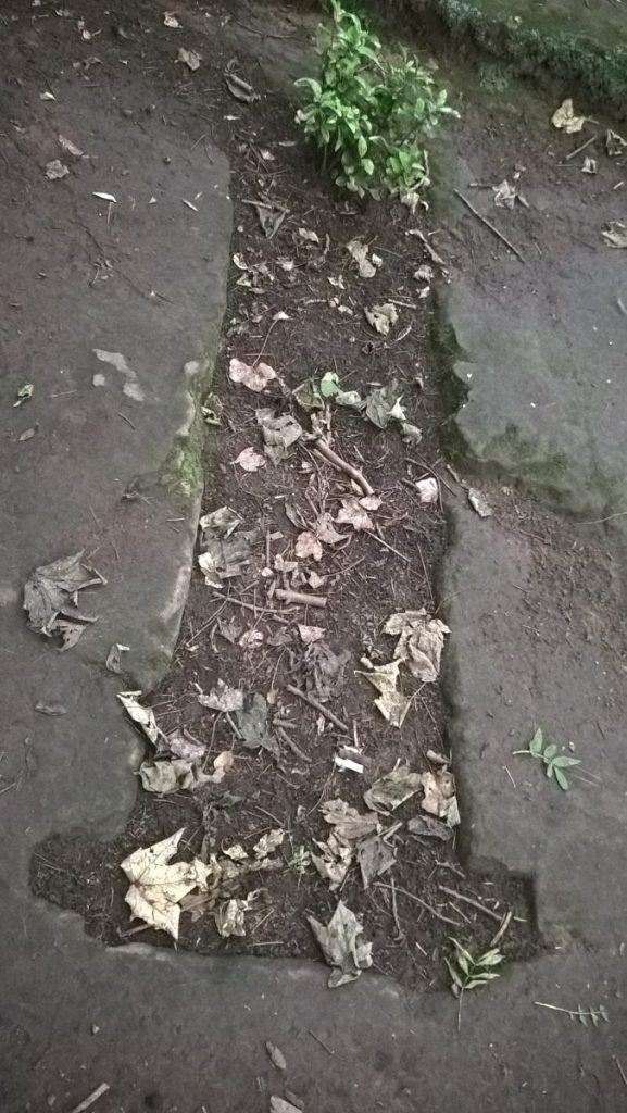 St Robert: the celebrity hermit of Knaresborough – Region and Nation in ...