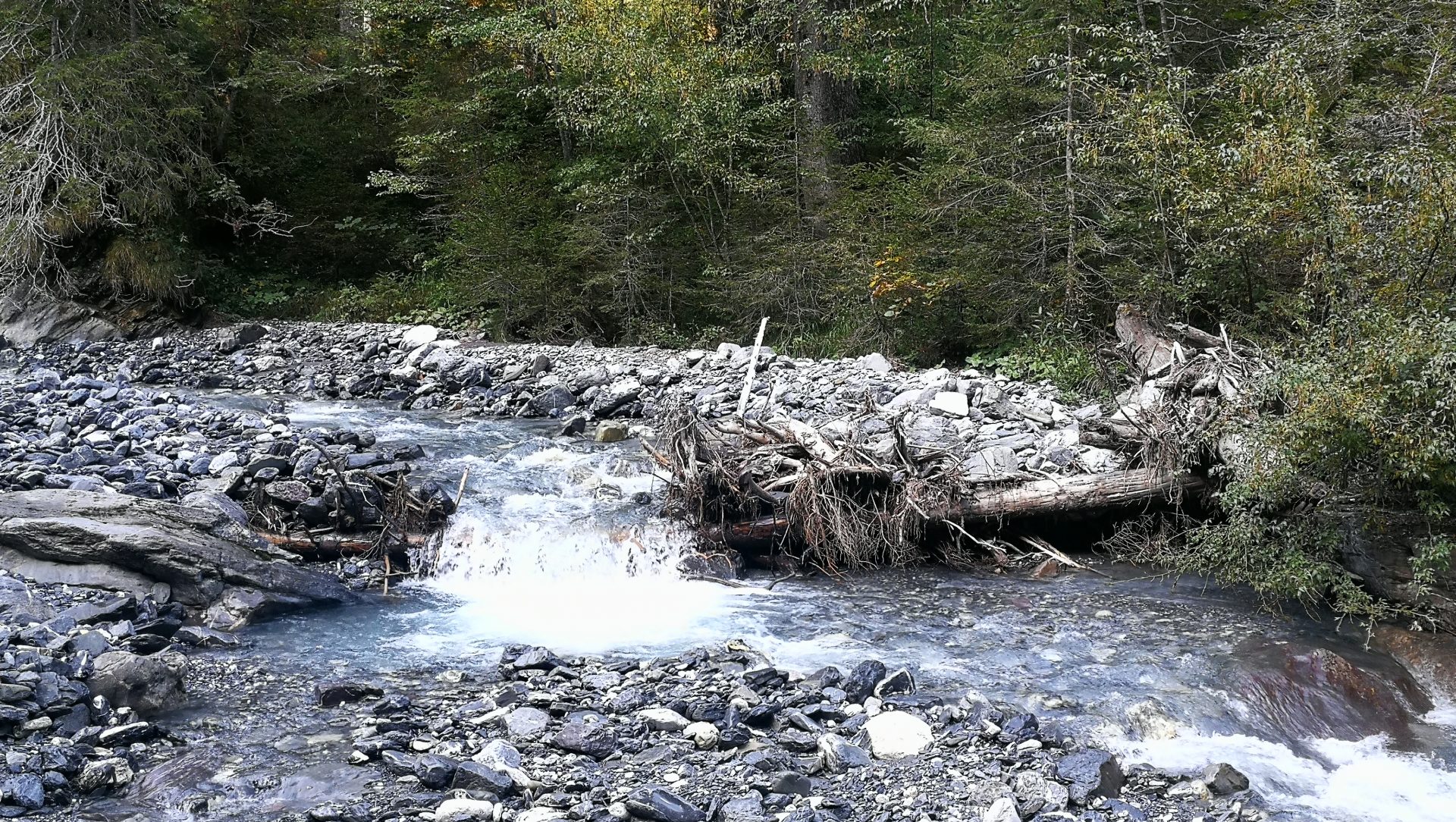 Current Projects - River EcoSystems Research Group (RivES)