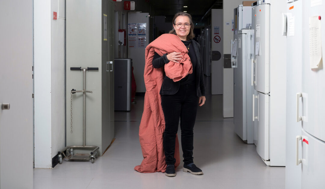 Quand Morphée nous protège des risques cardiovasculaires - L'uniscope