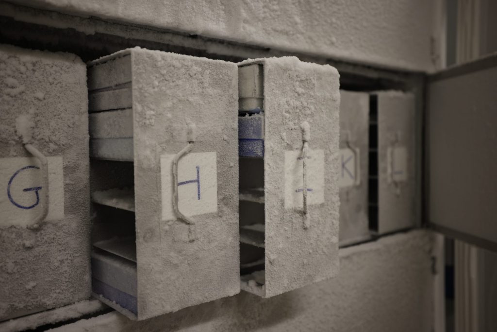 Microbiota Vault – The Vonaesch Lab