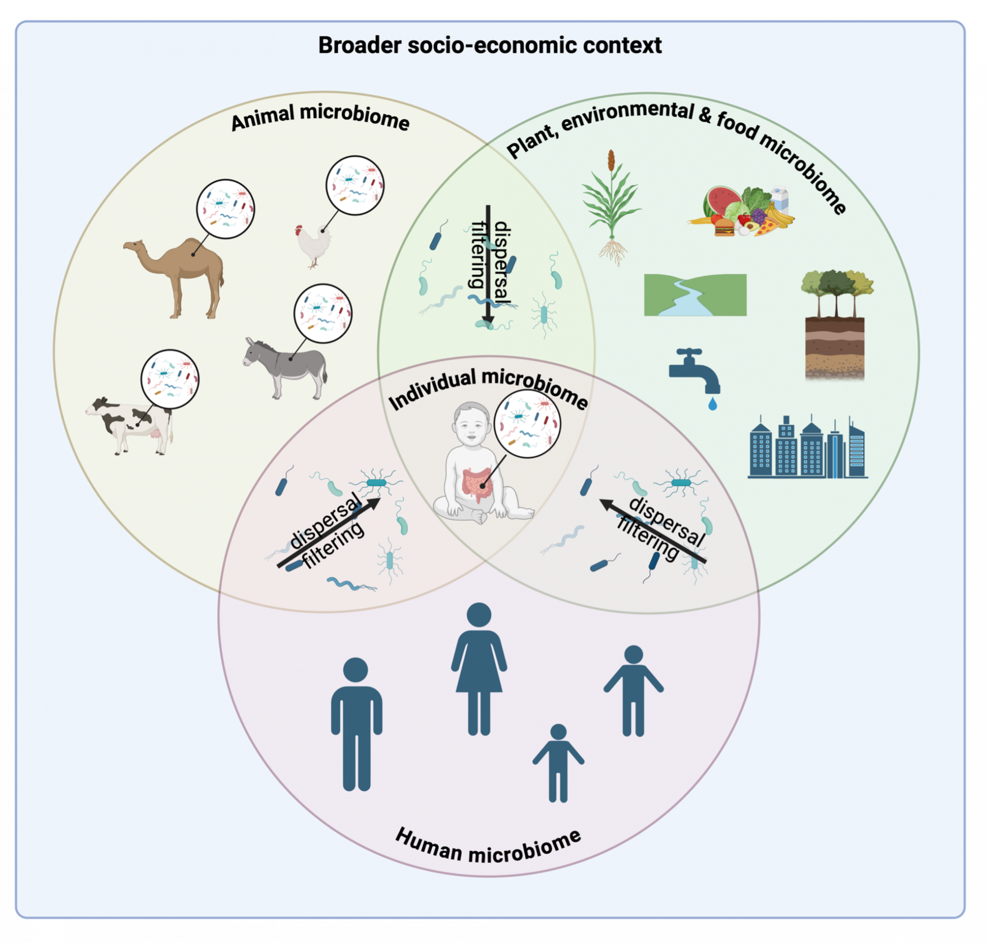 Our review on the One Health microbiome is finally out in Microbiome ...